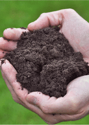 Soil Nitrate Measurement for Determination of Plant-Available Nitrogen ...