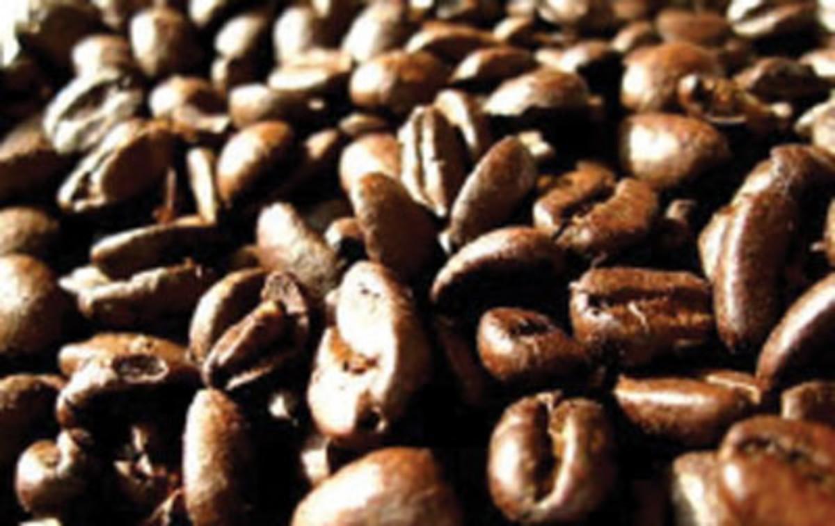 Particle Analysis in Food and Beverage Applications - HORIBA