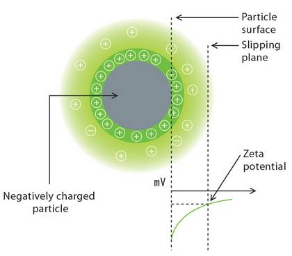 Zeta Potential Analysis using Electrophoretic Light Scattering - HORIBA