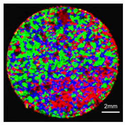 Pharmaceutical Particle Size, Shape, Surface Area and Stability - HORIBA